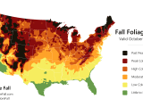 Explore Fall Interactive Foliage Map